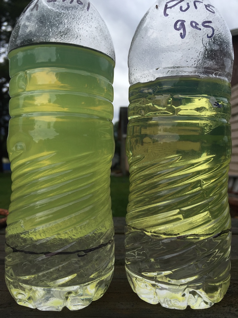 GOT PURE-GAS? Free-Easy-Fast test for HIDDEN ETHANOL. | DO THE TON